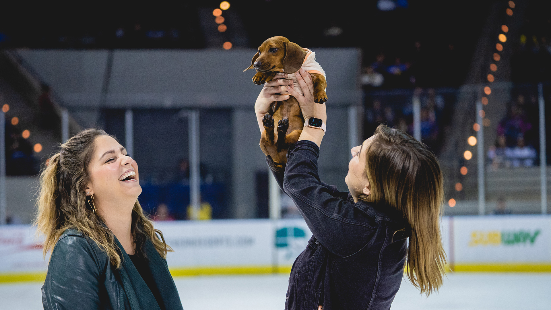 Small Dog Race Night Registration | Pensacola Ice Flyers